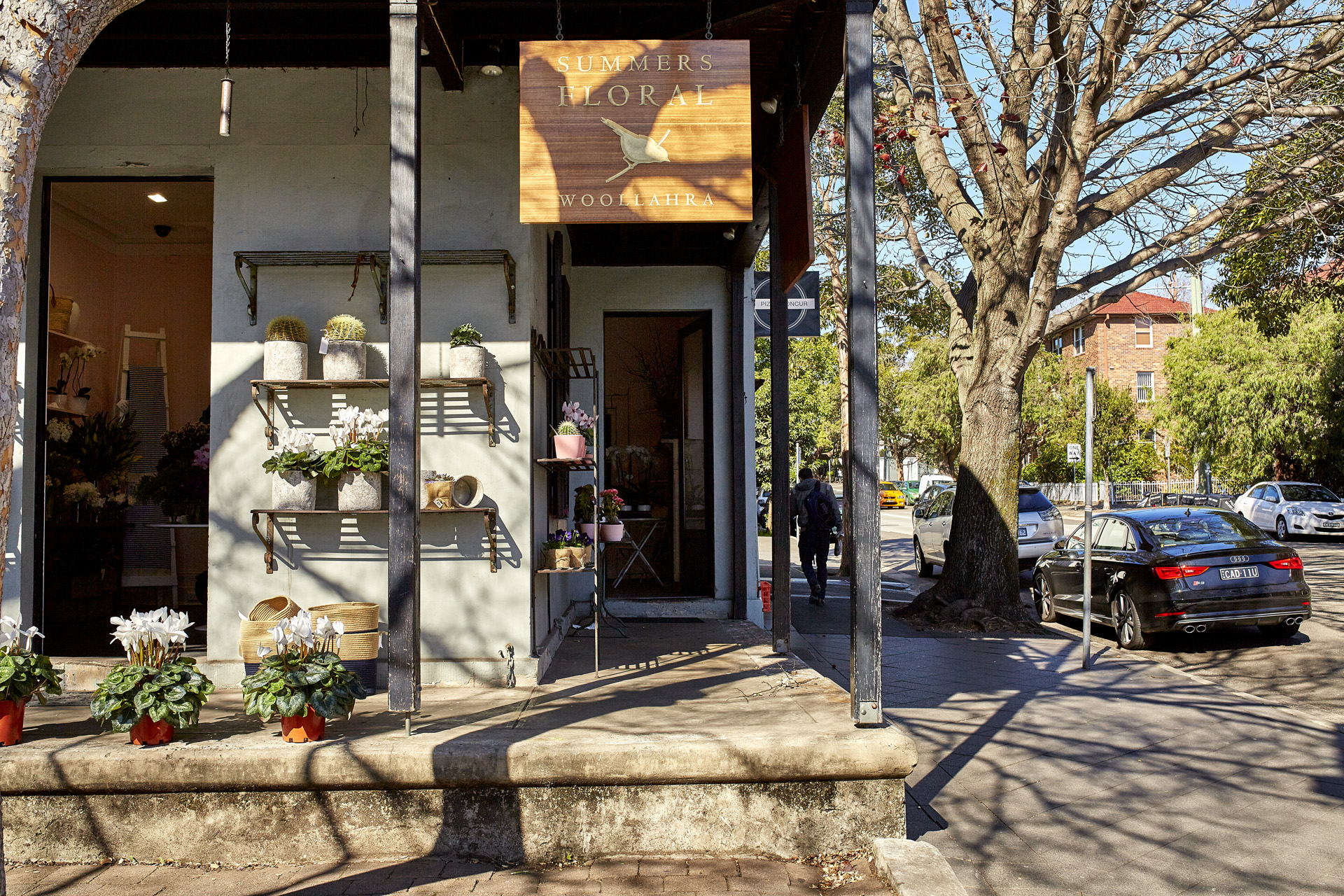 Georgia Cleary Homes » Edgecliff: An insiders perspective